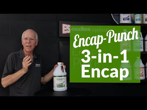 Releasit Encap-Punch (4 Gallon) Carpet Cleaning – ExcellentSupply.com